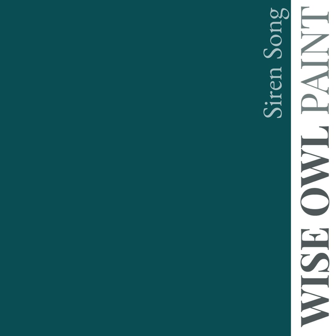 Siren Song Wise Owl Chalk Synthesis Paint 16 or 32 Oz - Etsy