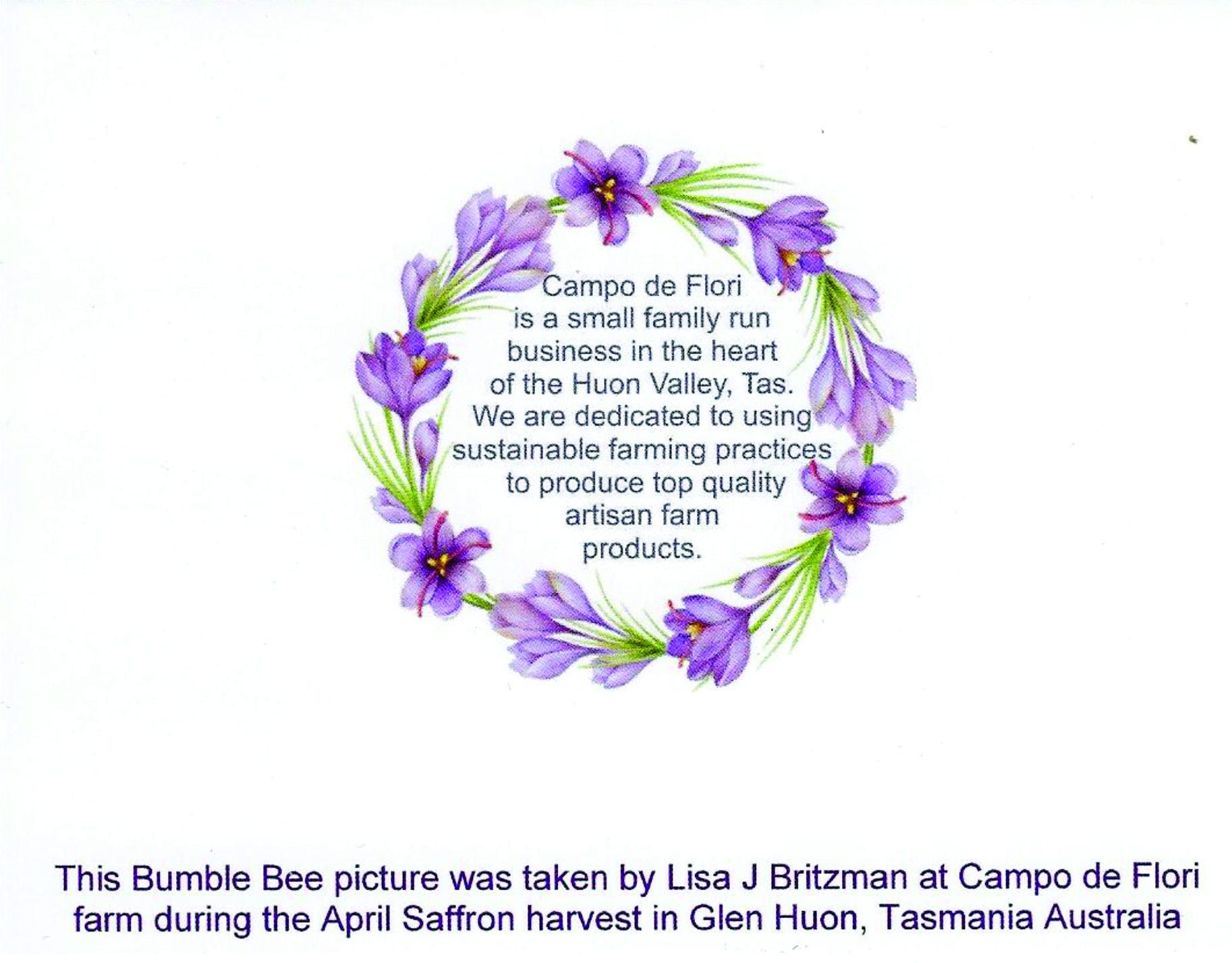 Bumble Bee Bum in Saffron Crocus Flower "prints AND Cards" - Etsy