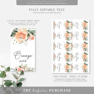 Mimosa Bar Sign and Juice Tags Template, Printable Bridal Shower Drinks ...