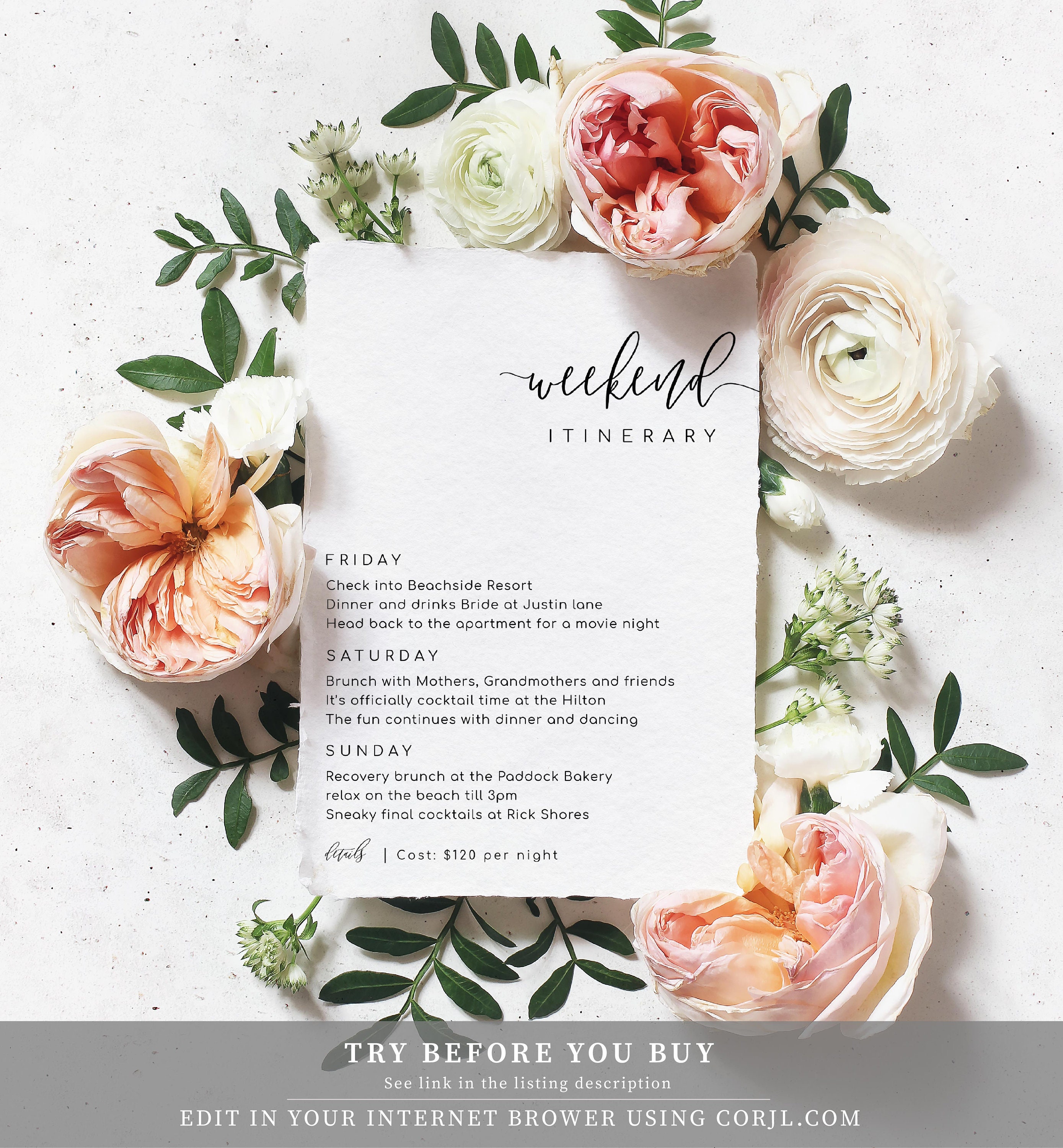 Modern Minimalist Weekend Itinerary Template Printable | Etsy