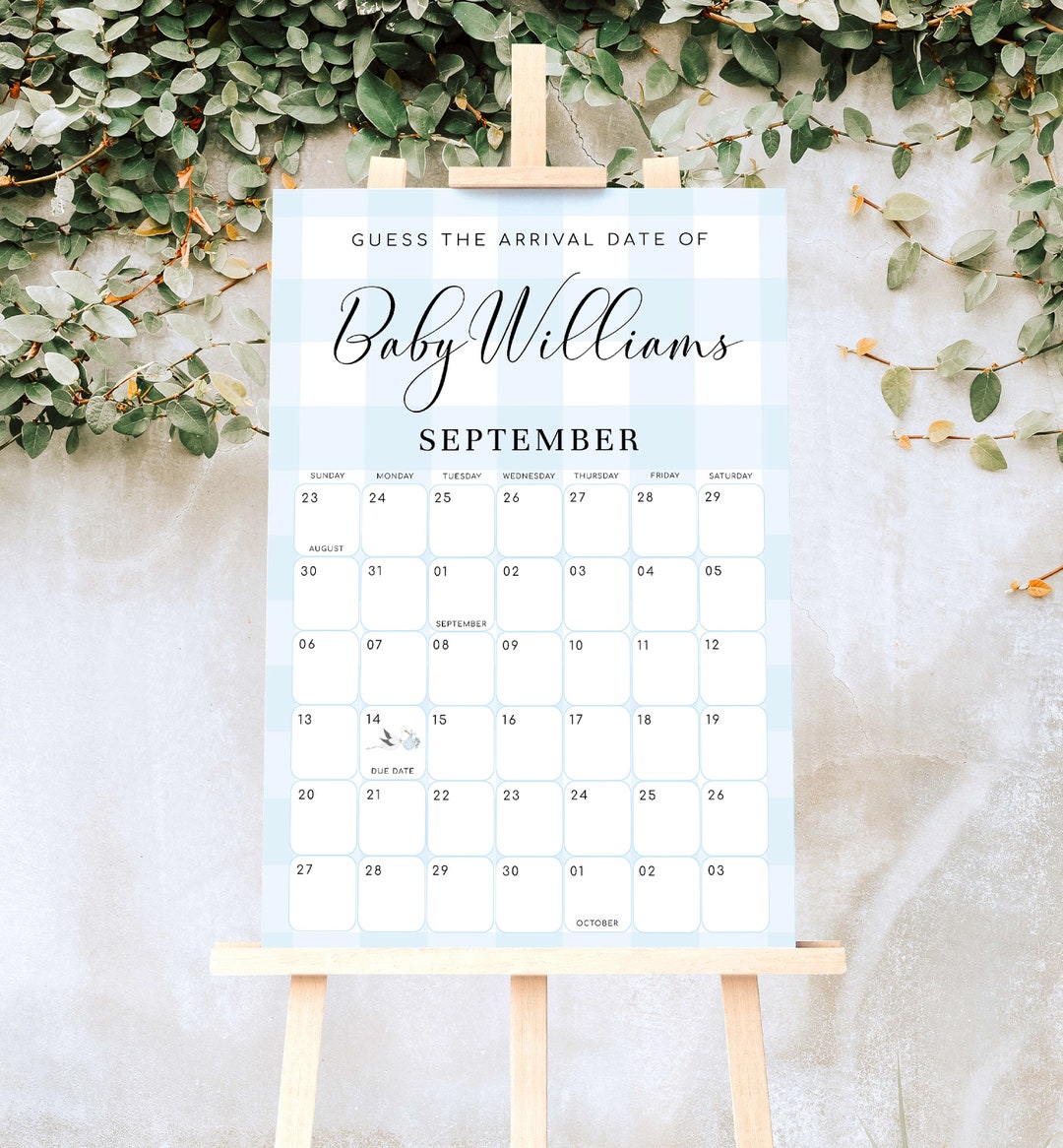 Guess the Arrival Date Game Sign, Blue Gingham Check, Printable Guess ...