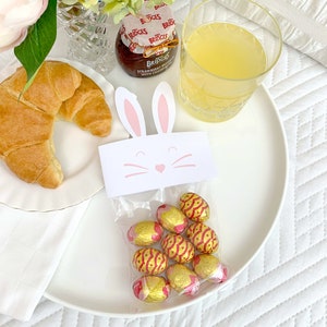 Printable Easter Bunny Treat Bag Topper Template, Easter Egg Gift Bag ...