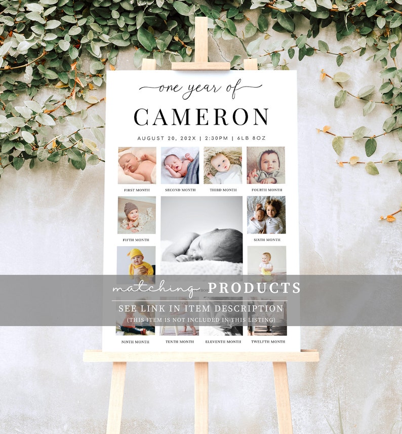 Baby's First Year Poster 1st Birthday Photo Banner First - Etsy