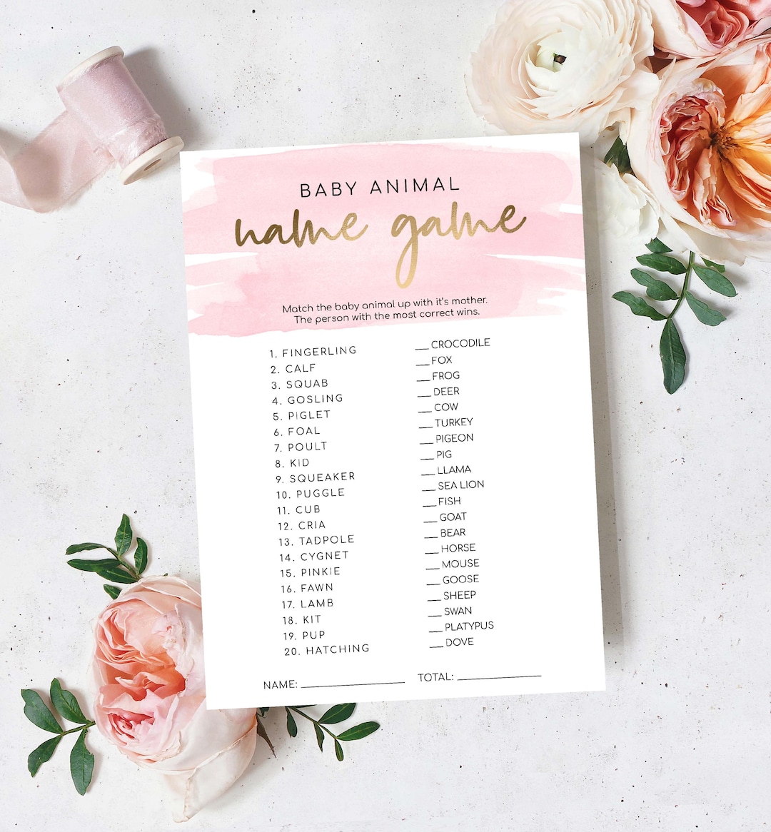 Name the Baby Animal Game, Printable Baby Animal Name Game, Girl Baby ...