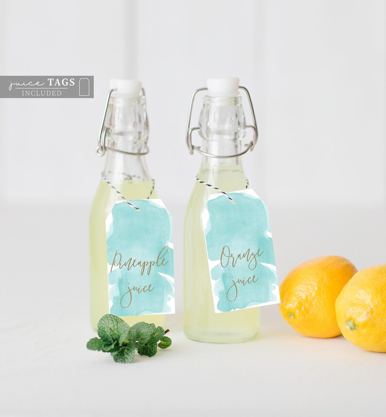 Editable Lemonade Bar Sign and Juice Tags Printable Drinks | Etsy