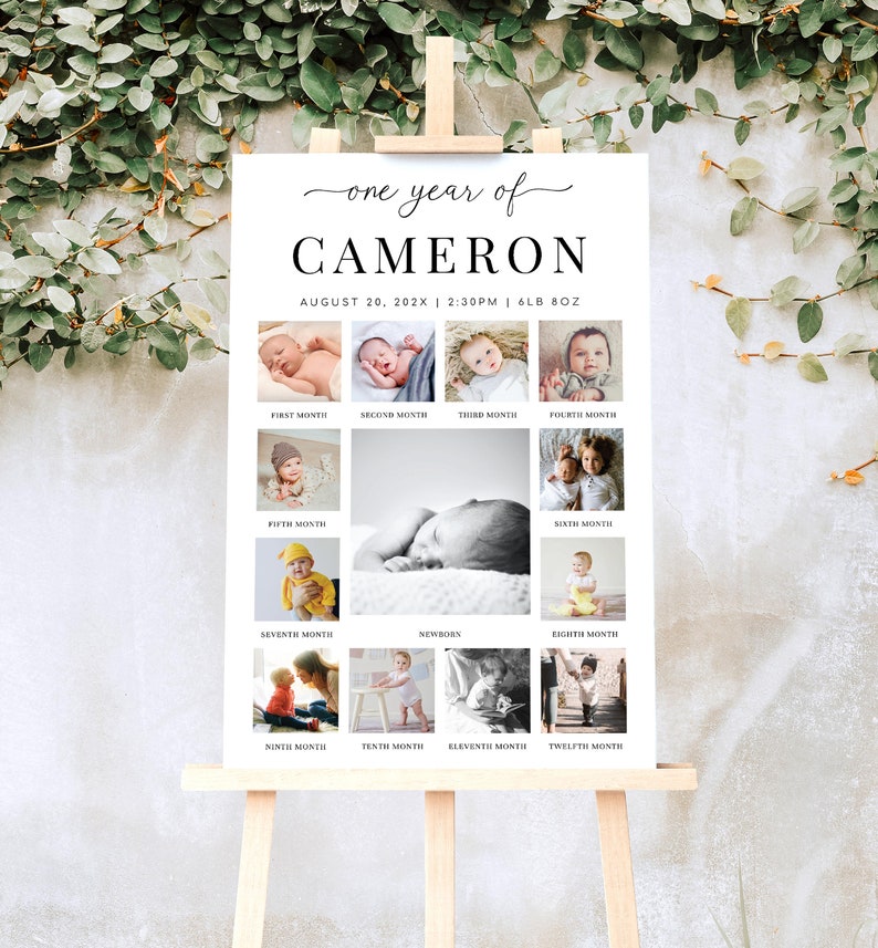 Printable First Birthday Photo Sign Baby's First Year - Etsy