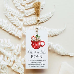 Hot Chocolate Bomb Tags: Christmas Cocoa Favor, Nutmeg Noel (DIY ...