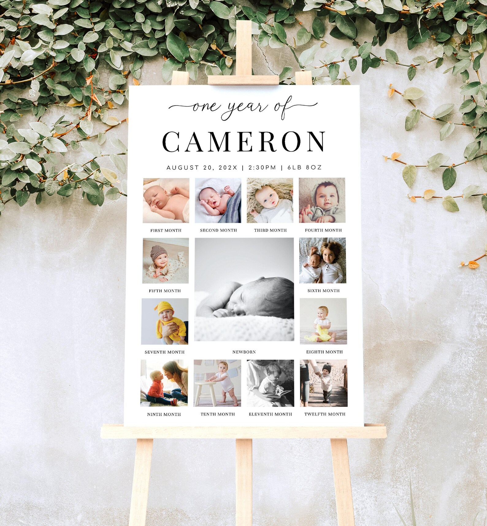 Printable First Birthday Photo Milestone Sign, Quinn (DIY Template ...