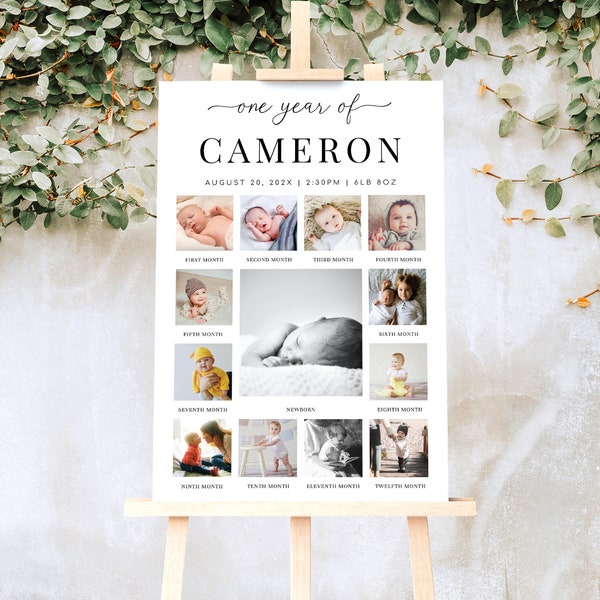 12 Month Banner - Etsy