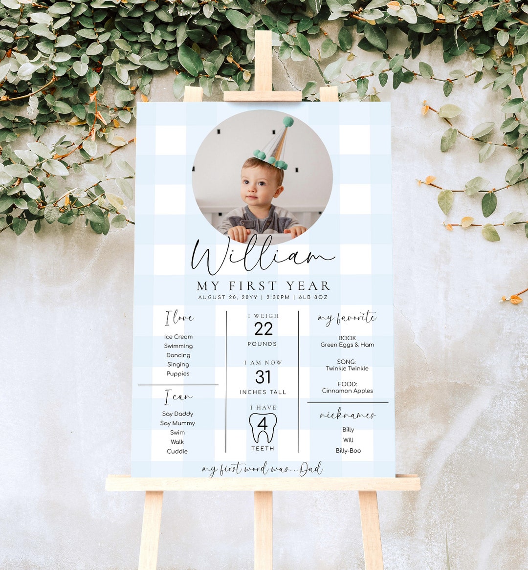 Printable Baby Milestone Board, Blue Gingham Check, Baby's First Year ...