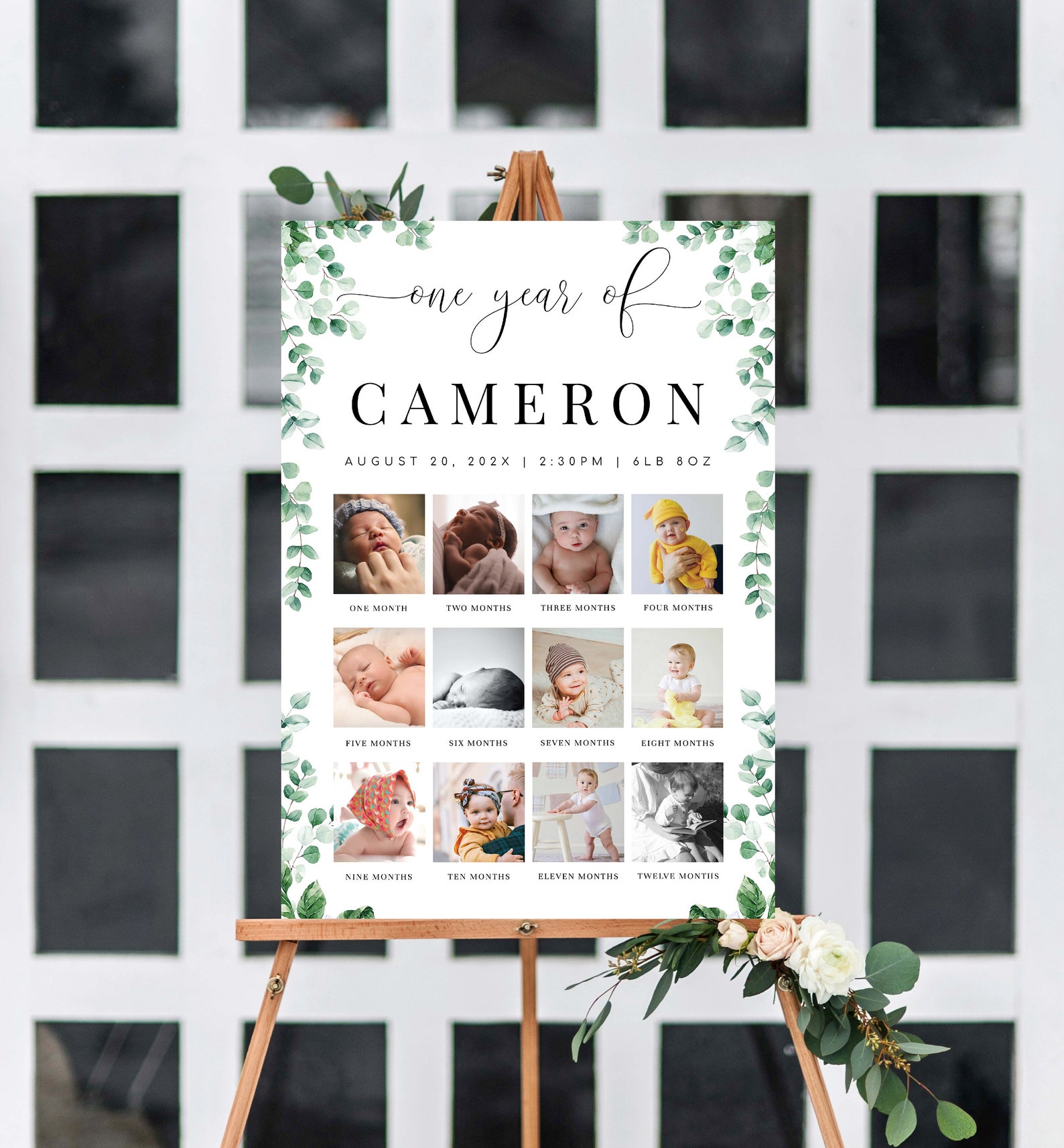 First Birthday Photo Timeline Sign, 1st Birthday Photo Banner, First ...