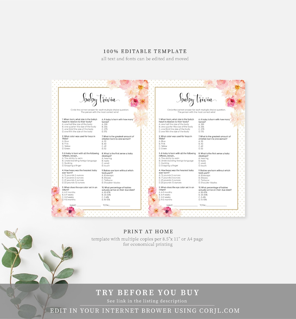 Editable Baby Trivia Quiz Game Printable Baby Shower Game - Etsy