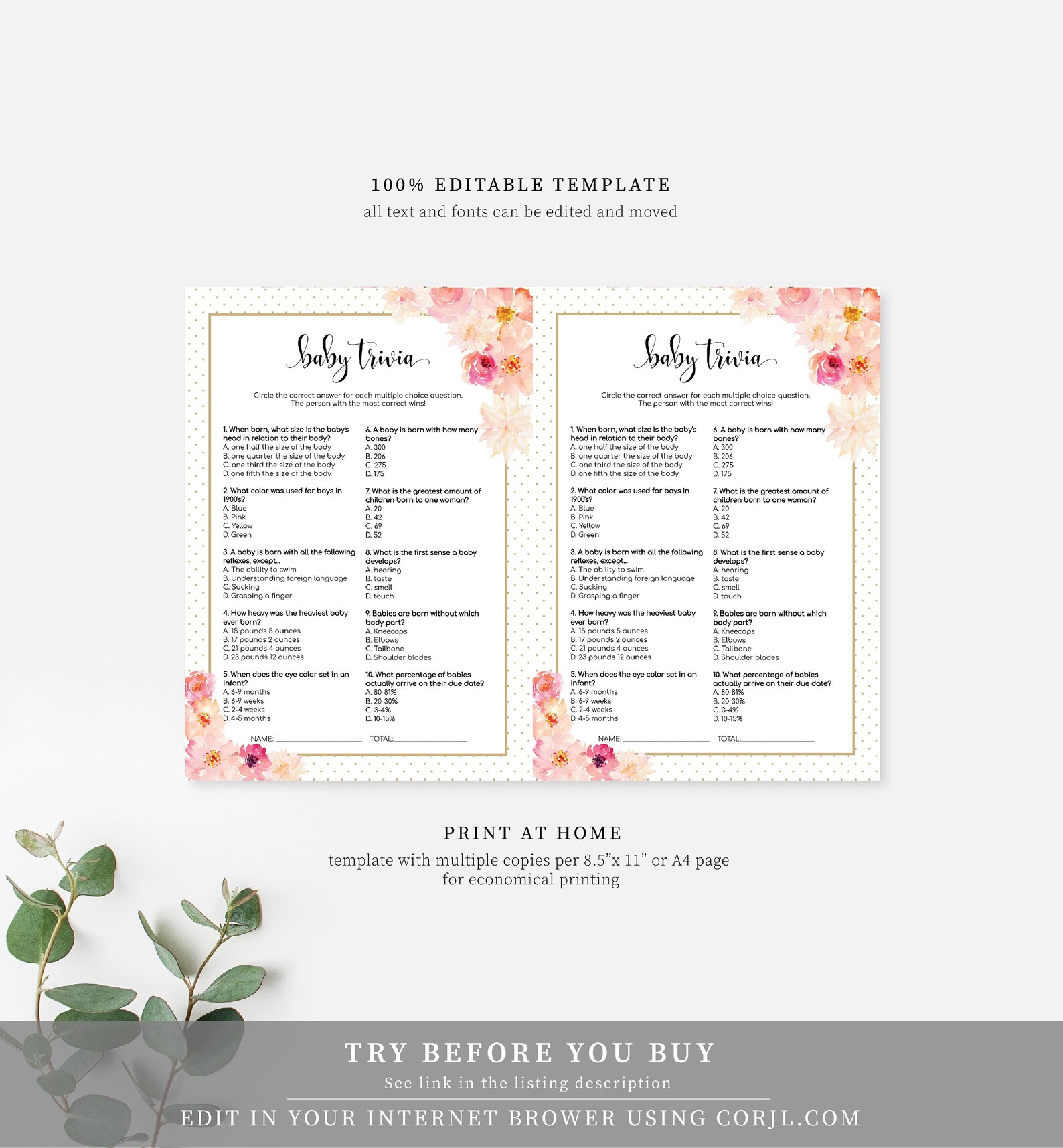 Editable Baby Trivia Quiz Game Printable Baby Shower Game - Etsy