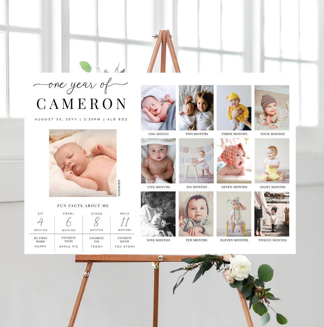 First Birthday Milestone Photo Sign, Printable Baby's First Year Poster ...