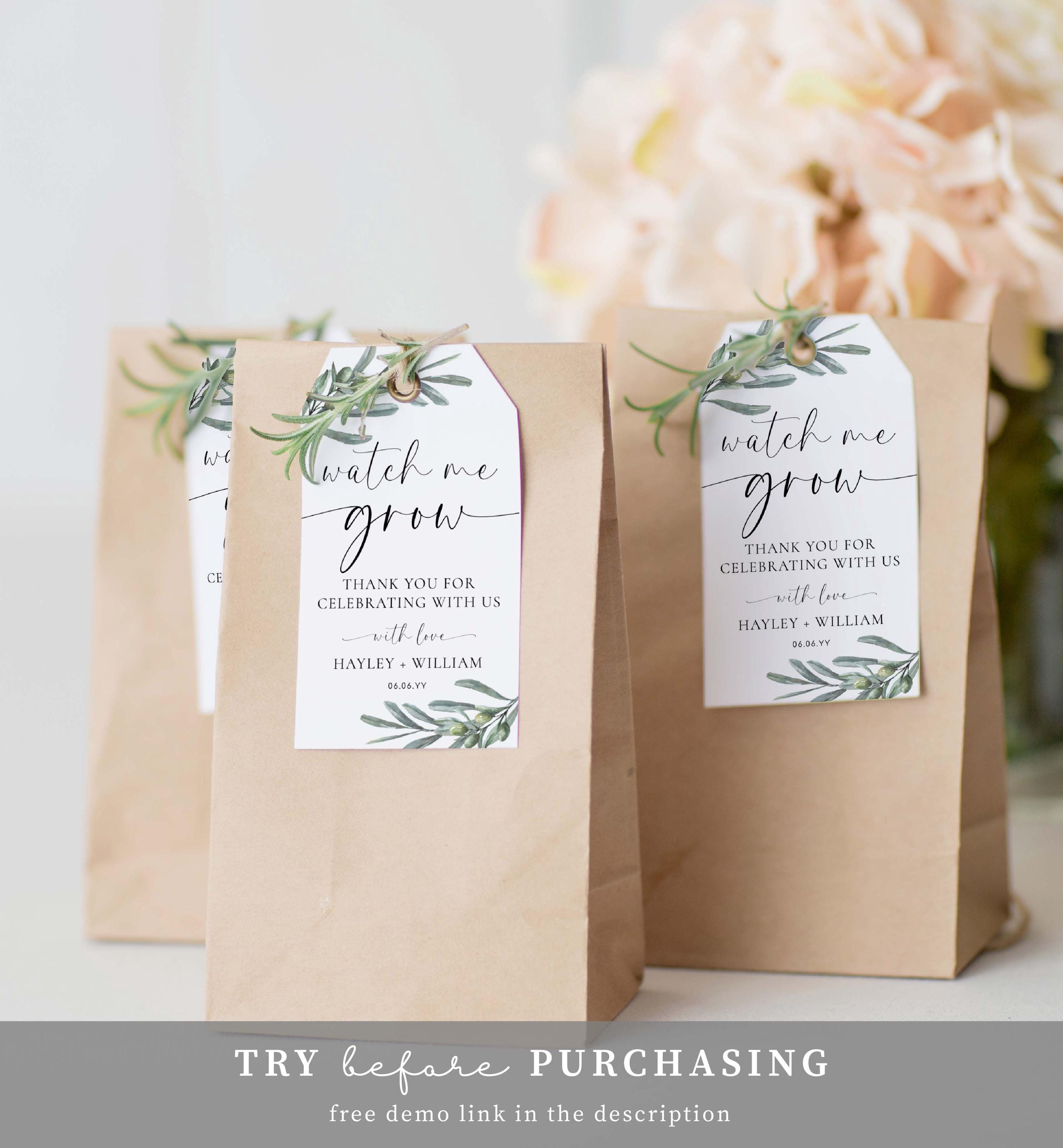 Printable Watch Me Grow Tag Template, Succulent Favor Tag Template ...