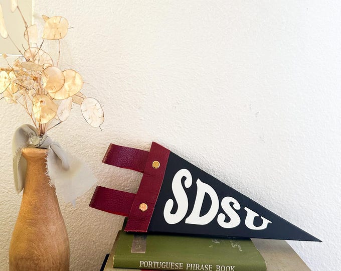 SDSU Pennant Flag - Etsy