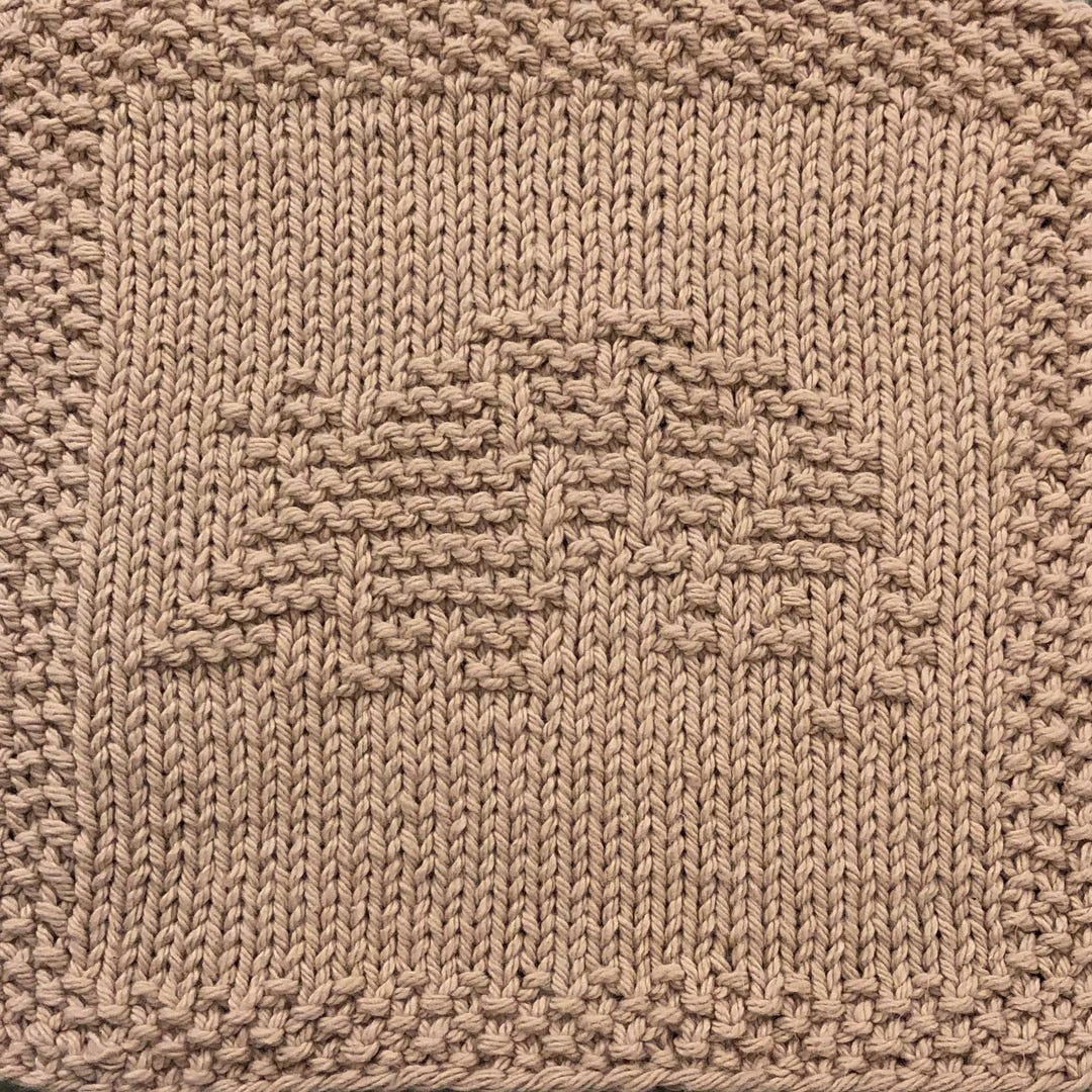 Armadillo Knit Dishcloth Pattern Only *PDF Digital Download* - Etsy