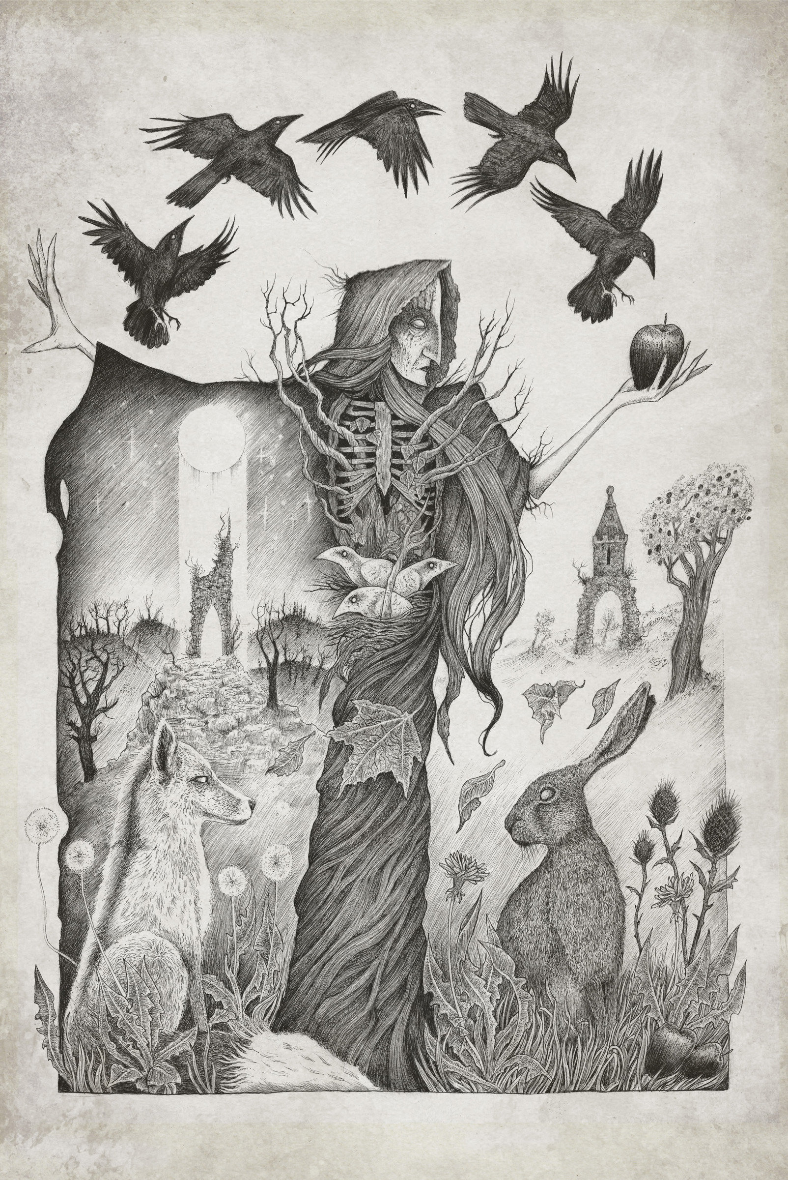 The Crone A3 Sized Art Print - Etsy