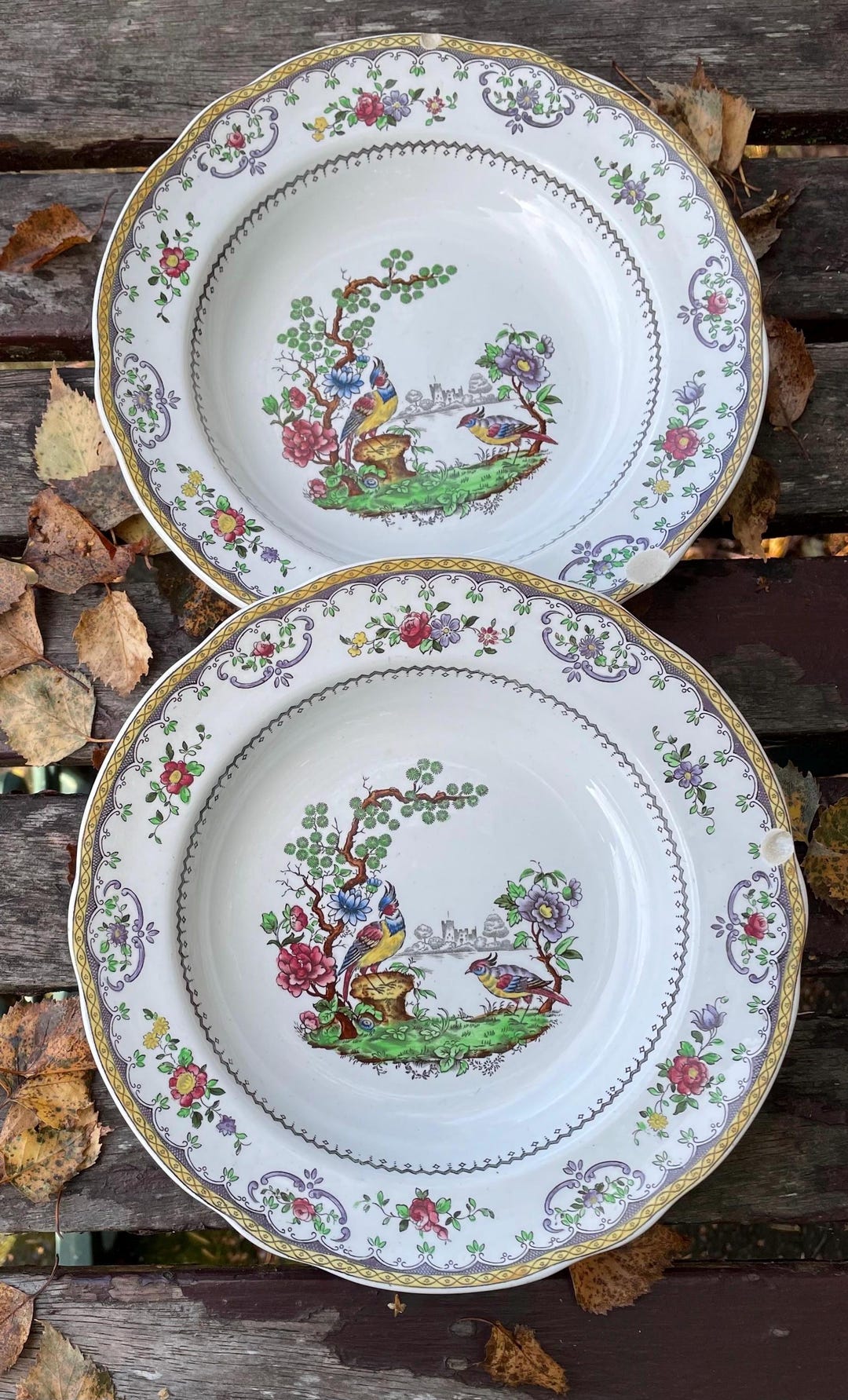 Antique Spode Chelsea Bone China Bowls, Harrods Bird Garden, 1911 (set ...