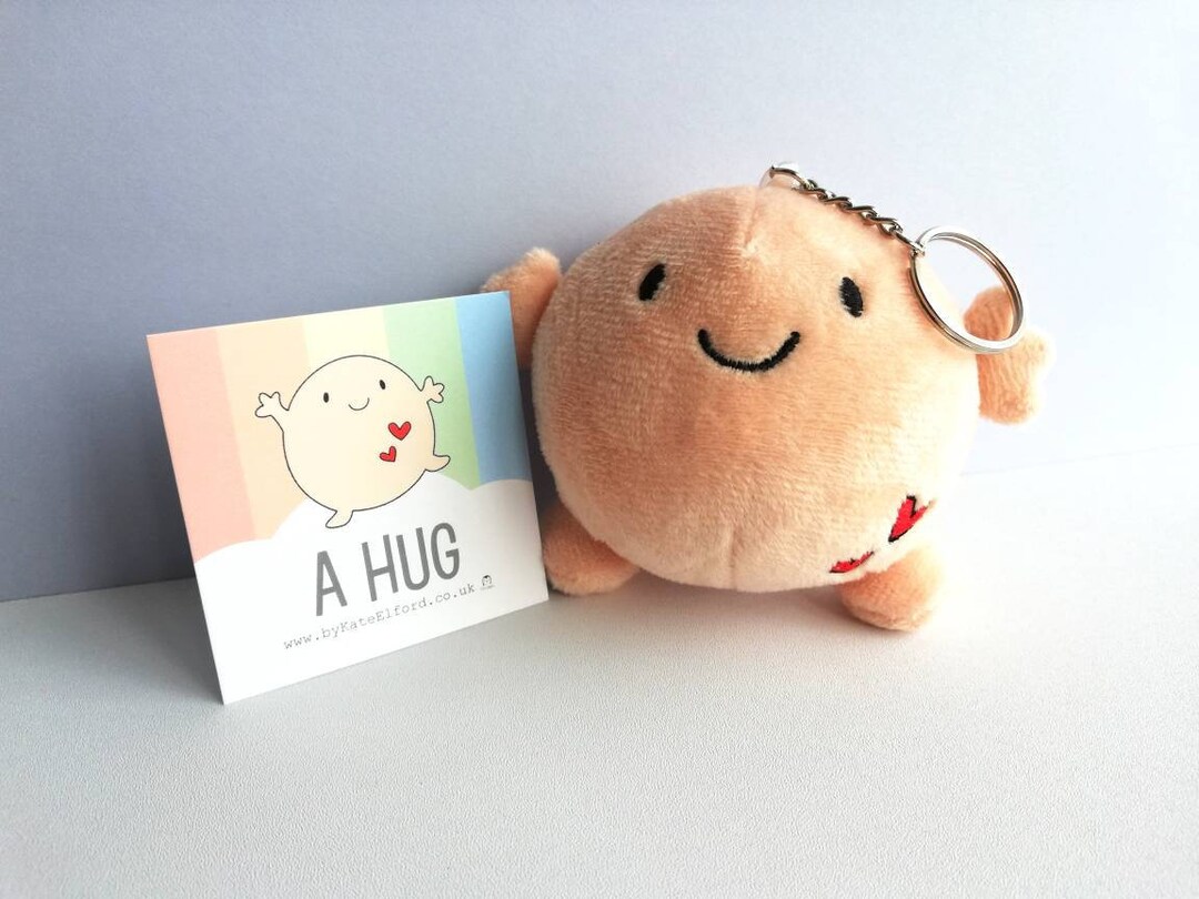 A Hug, Small Soft Plush Keyring, Cute Happy Gift, Care, Love You ...