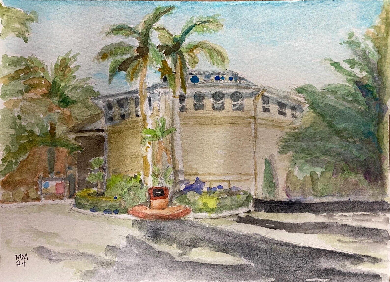 Bailey-matthews Shell Museum - Etsy