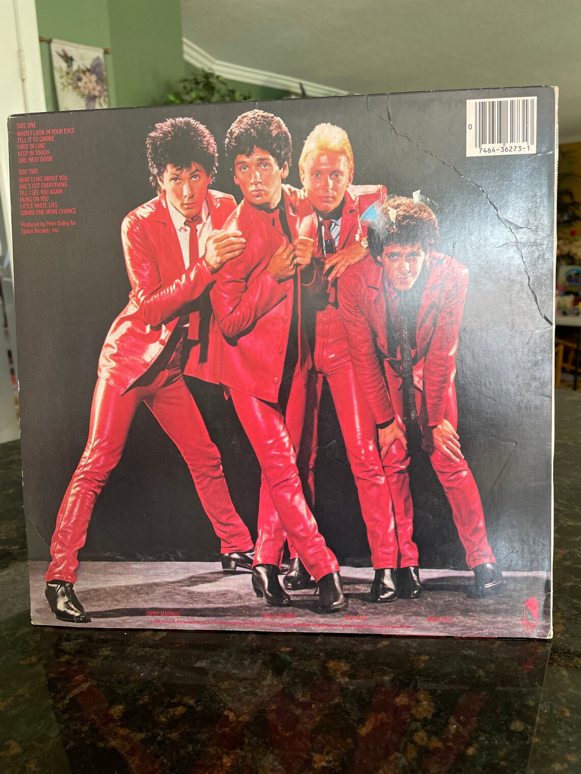 Vintage the Romantics Self Titled Album 1980 LP 36273 | Etsy