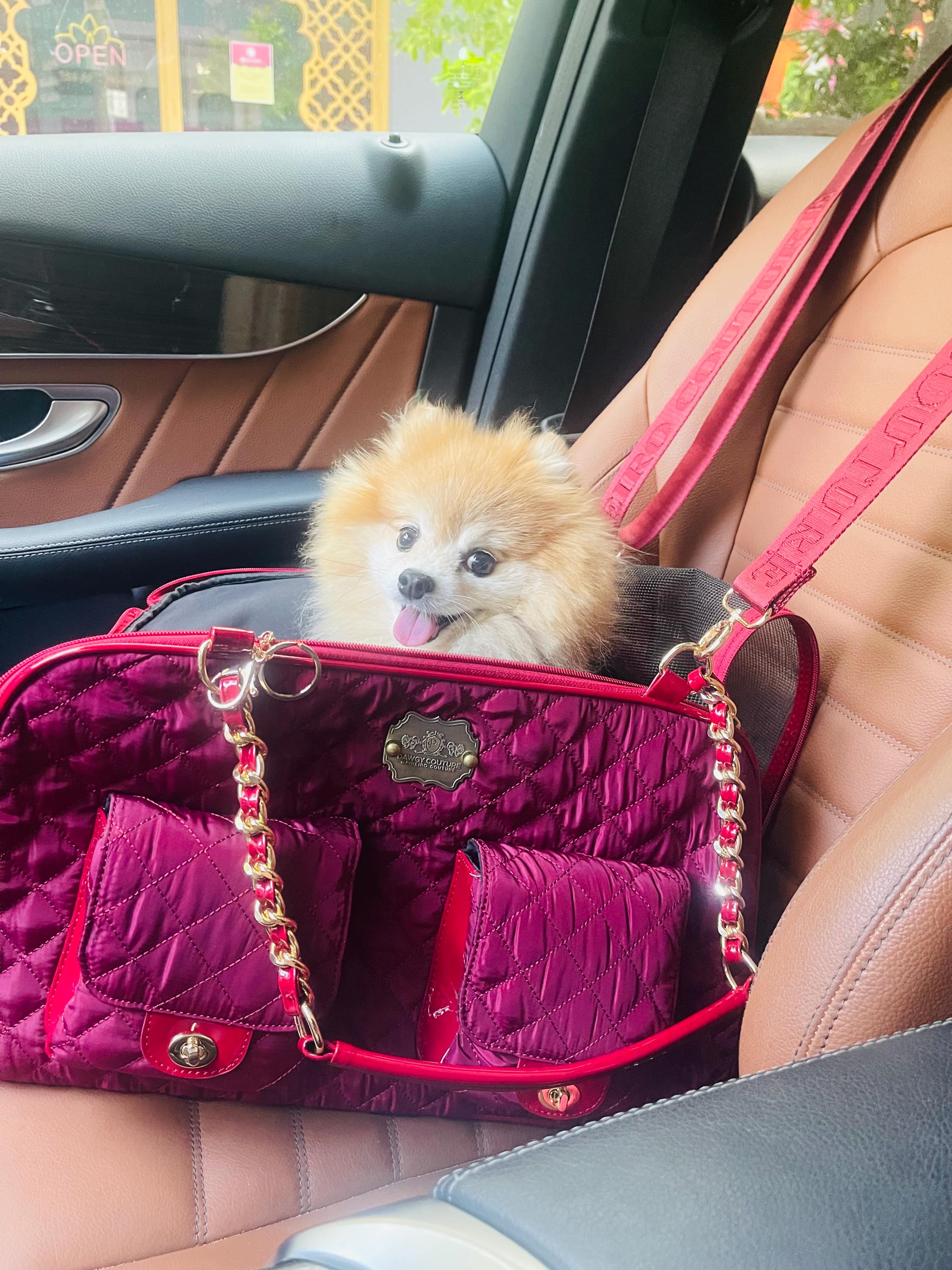 Pet Carrier Luxury Dawgy Quilted Bag Purse/car Seat Attachment ...