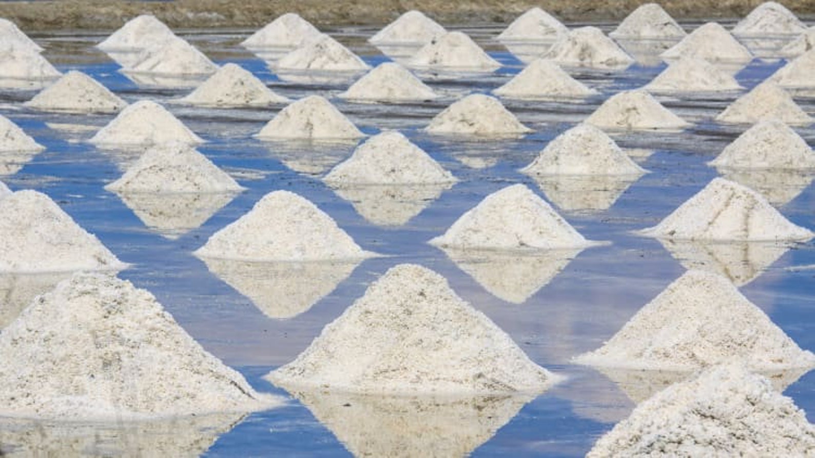 Brazilian Sea Salt (pedra Do Sal) From the Salts of the Earth ...