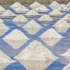 Brazilian Sea Salt (pedra Do Sal) From the Salts of the Earth ...