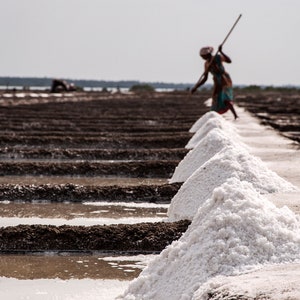 Brazilian Sea Salt (pedra Do Sal) From the Salts of the Earth ...