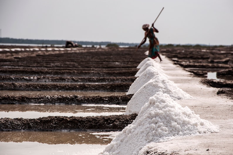 Brazilian Sea Salt (pedra Do Sal) From the Salts of the Earth ...