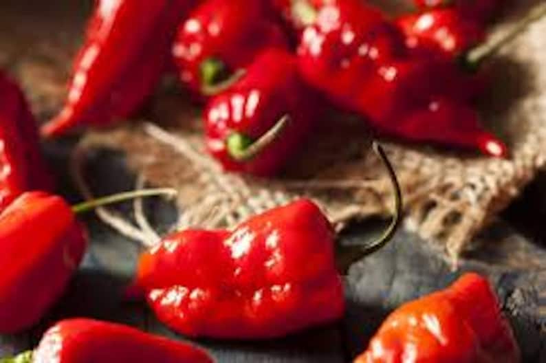 Tabasco Spicy Salt (assorted Varieties) From the Seasoned Sea Salts ...