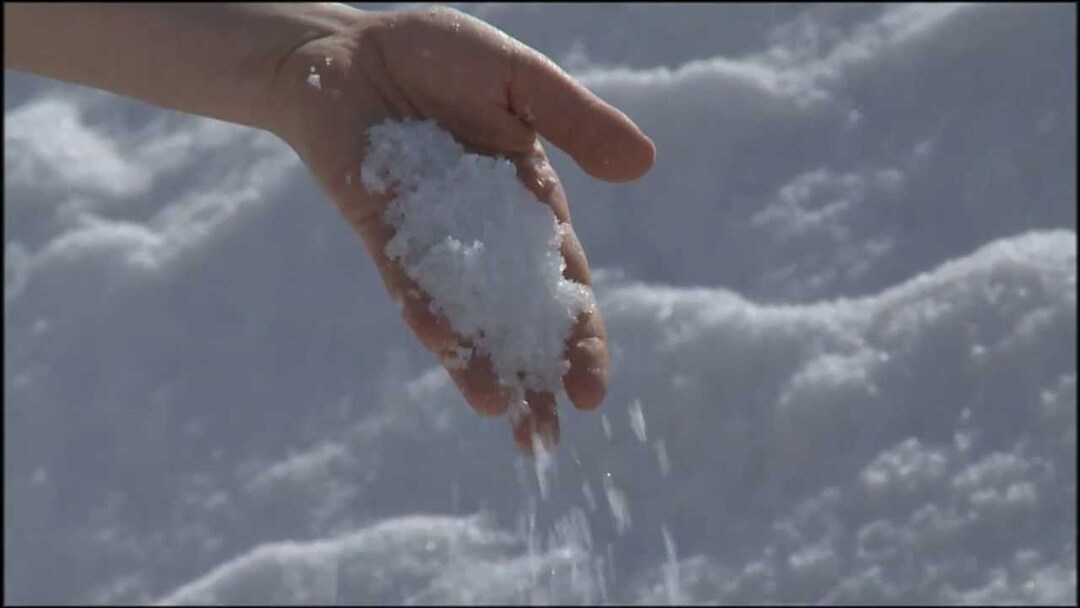 Organic, Sun-dried Red Sea Salt (from Israel) From the Salts of the ...