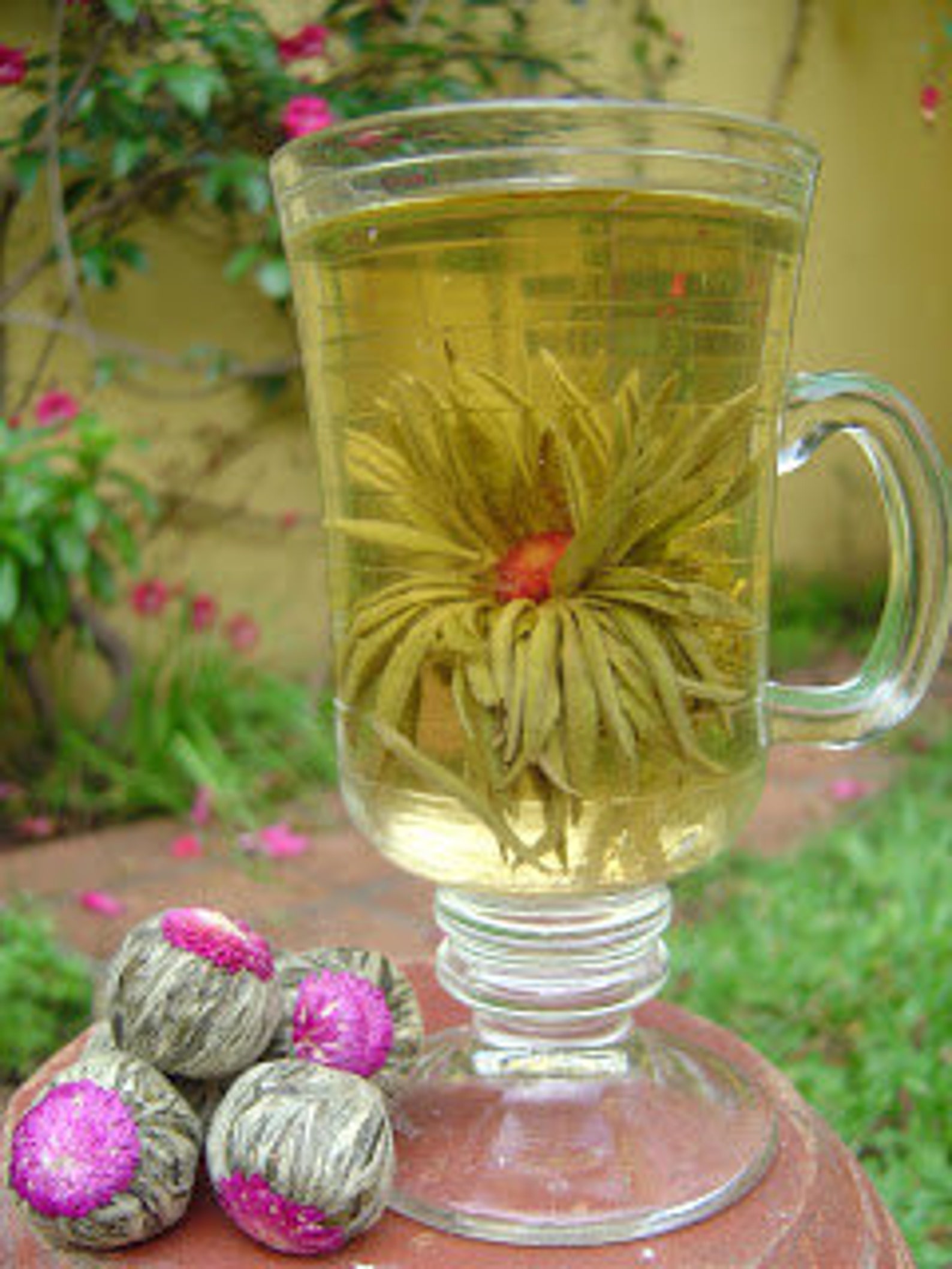 1000 Day Flowering Tea from the SpecialTea Collection by | Etsy