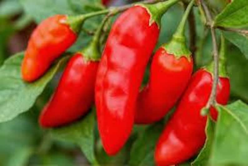 Tabasco Spicy Salt (assorted Varieties) From the Seasoned Sea Salts ...