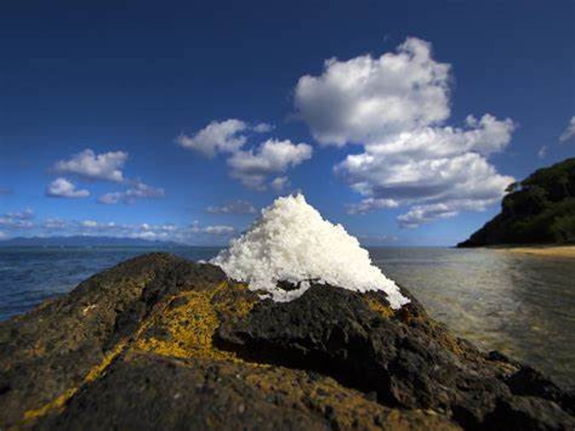 Fijian Kosher Sea Salt From the Salts of the Earth Collection by ...