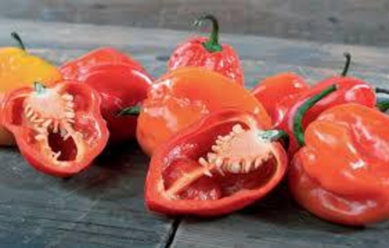 Tabasco Spicy Salt (assorted Varieties) From the Seasoned Sea Salts ...