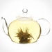 1000 Day Flowering Tea From the Specialtea Collection by - Etsy