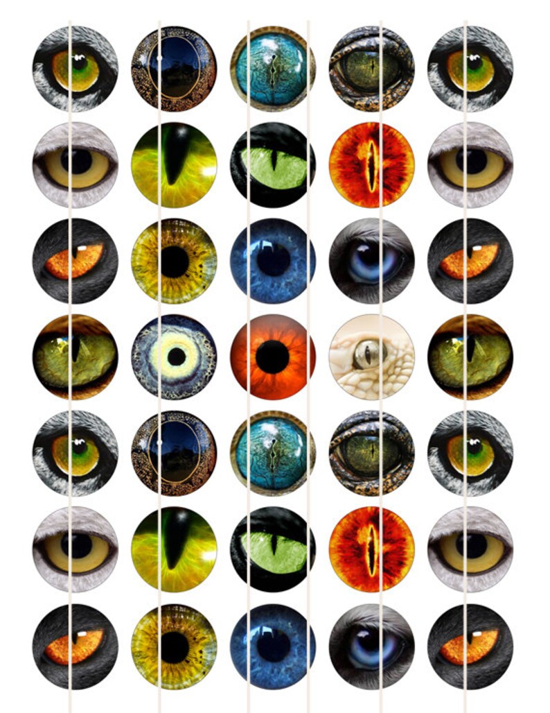 Animal Eyes Collage Sheet: Pendants, Cabochons (digital Download) - Etsy
