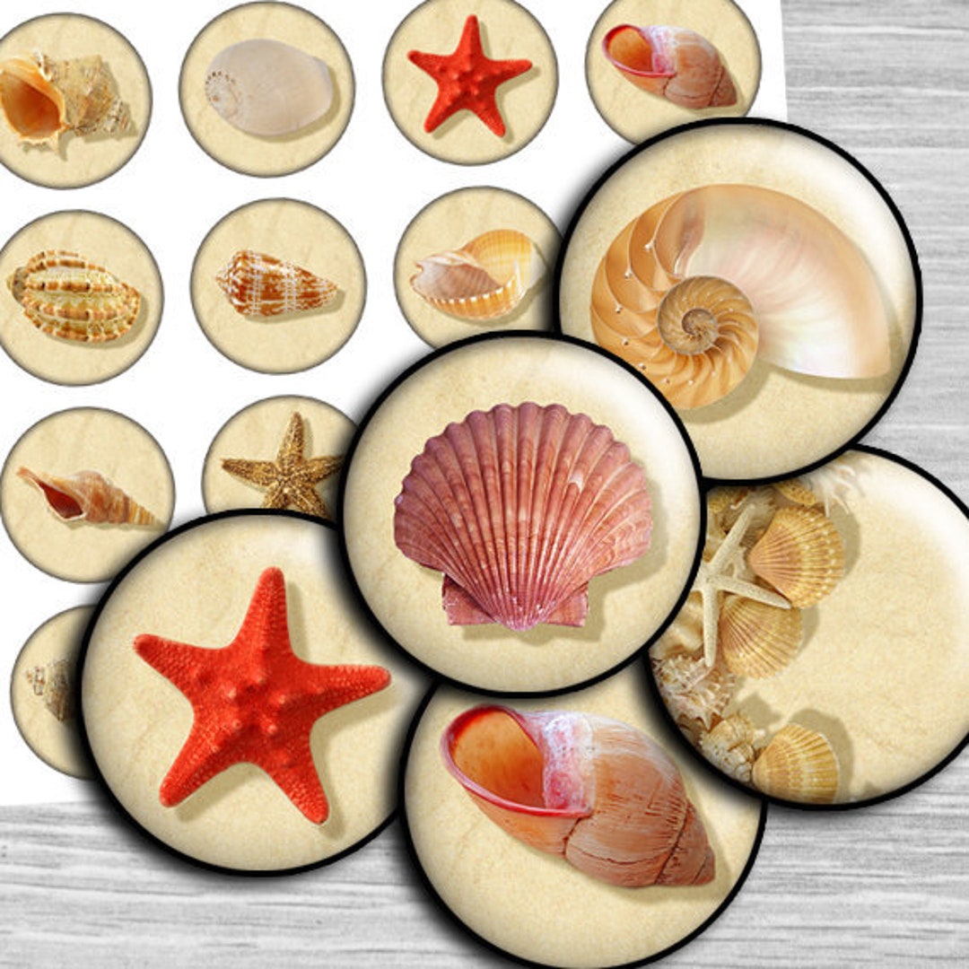 Shells Images Circle Marine Theme Instant Download Digital - Etsy