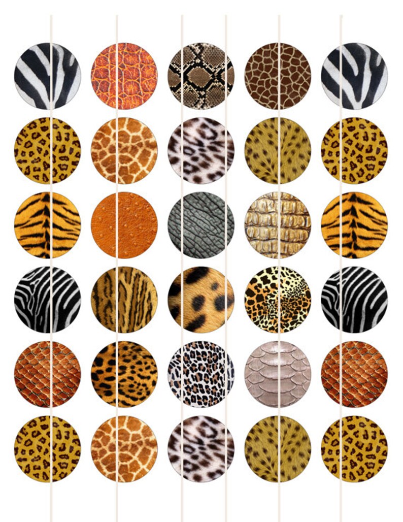 Animal Skins Animal Pattern Round Graphics Td182 - Etsy