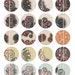 Paisley Digital Collage Sheet Oval - OV16 - 30 X 40mm Ovals - Ovals ...