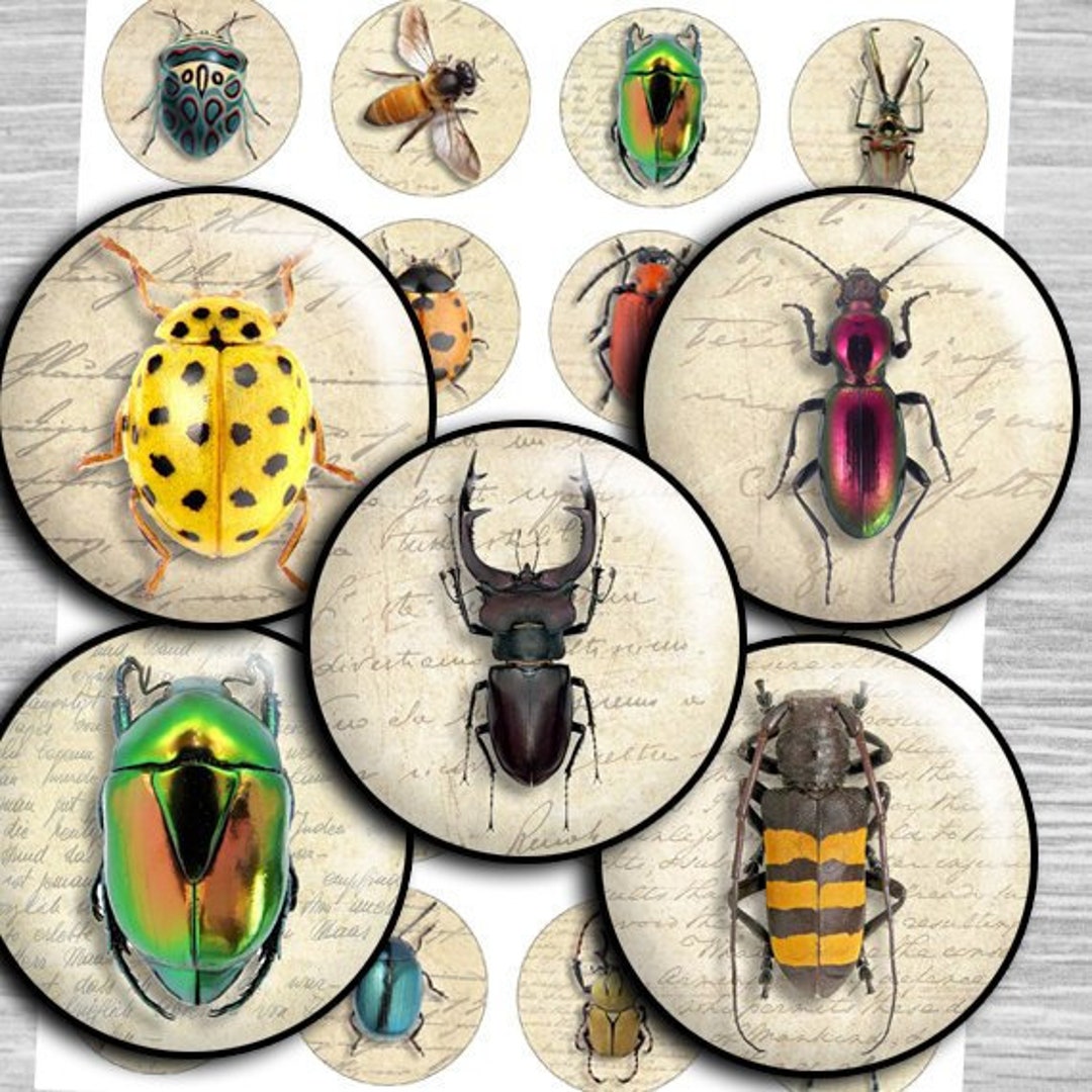 Insect Digital Collage Sheet - Td214 - 1.5", 1.25", 30mm, 1 Inch ...