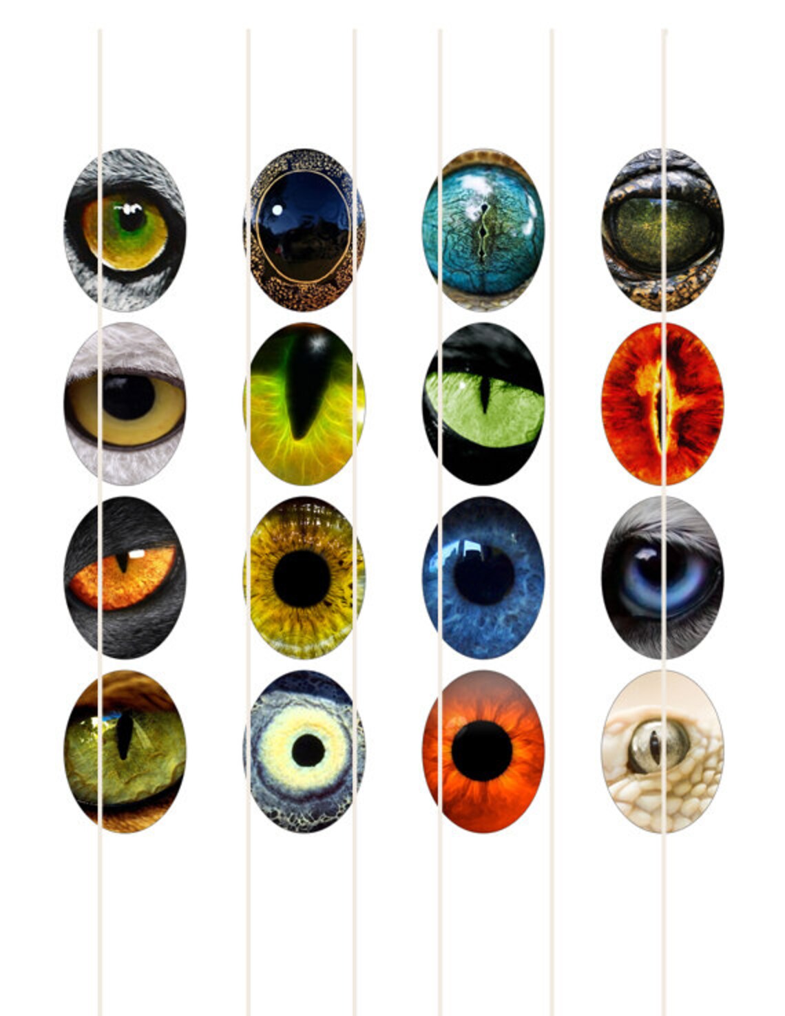 Eyes of Wild Animals Digital Collage Sheet Printable 30 X 40mm - Etsy