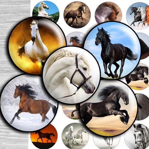 Horses Digital Collage - Etsy
