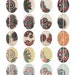 Paisley Digital Collage Sheet Oval - OV16 - 30 X 40mm Ovals - Ovals ...