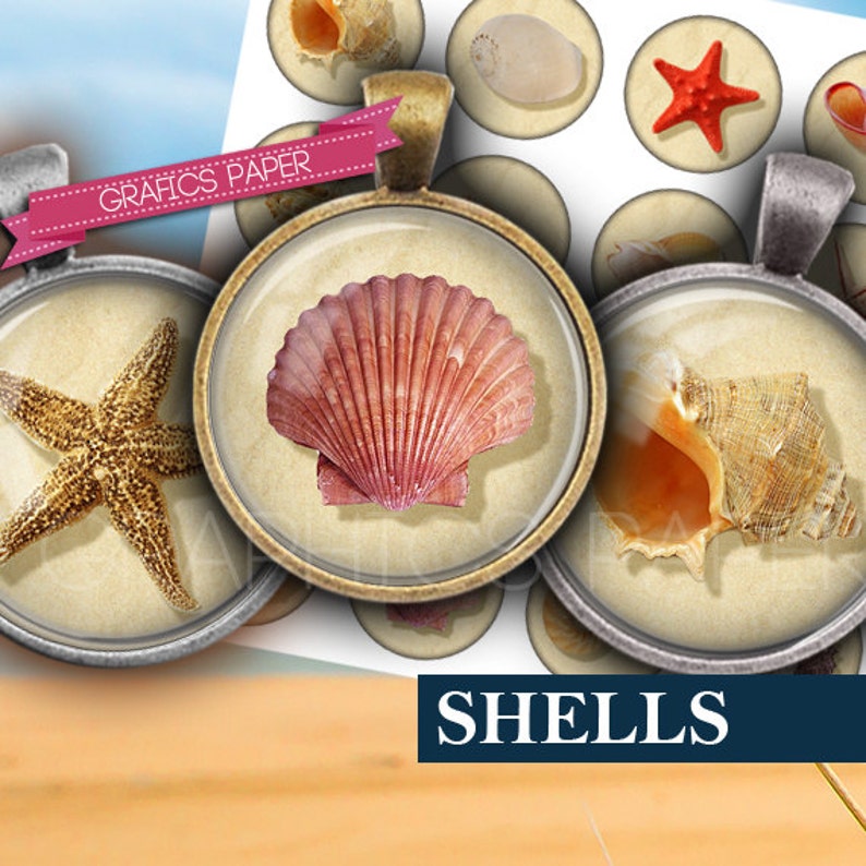 Shells Images Circle Marine Theme Instant Download Digital - Etsy