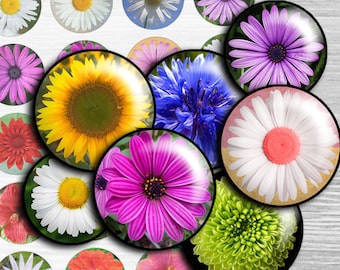 1 Inch Circles - Etsy