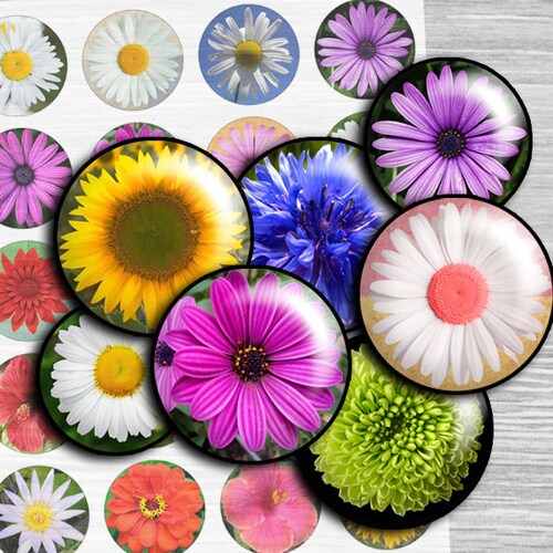 Folk Art 1 Inch Circles Floral Digital Collage Sheet Printable - Etsy