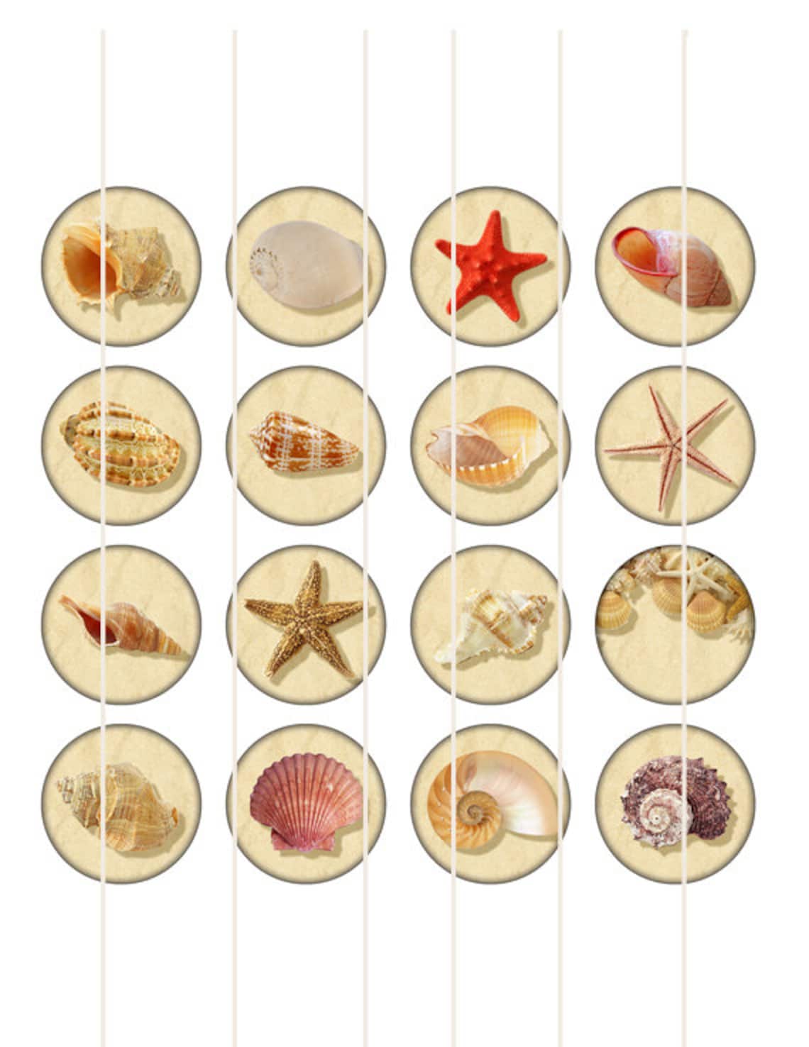Shells Images Circle Marine Theme Instant Download Digital - Etsy